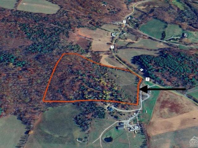 land NY NY DLS96882160