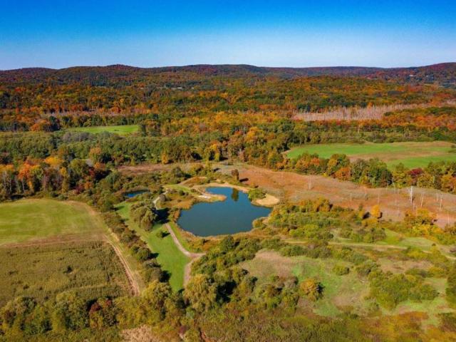 land NY NY DLS98330359