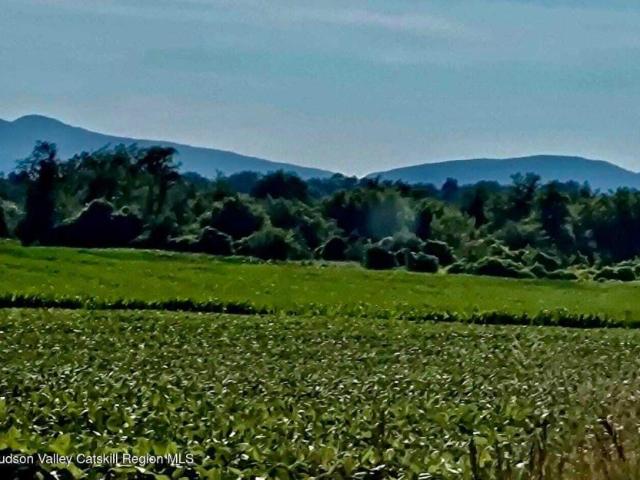land NY NY DLS98672097