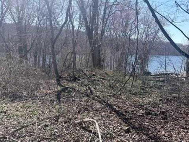 land NY NY DS101187697