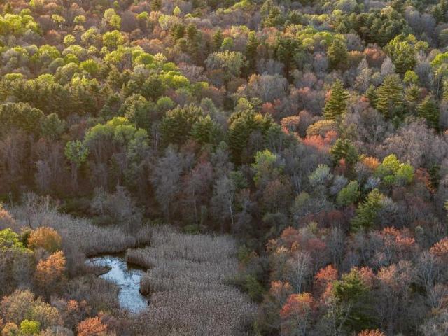 land NY NY DS101948588