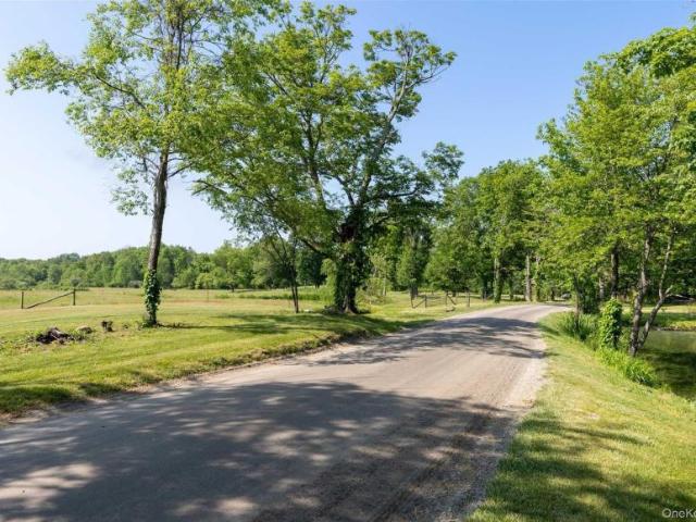 land NY NY DS102018884