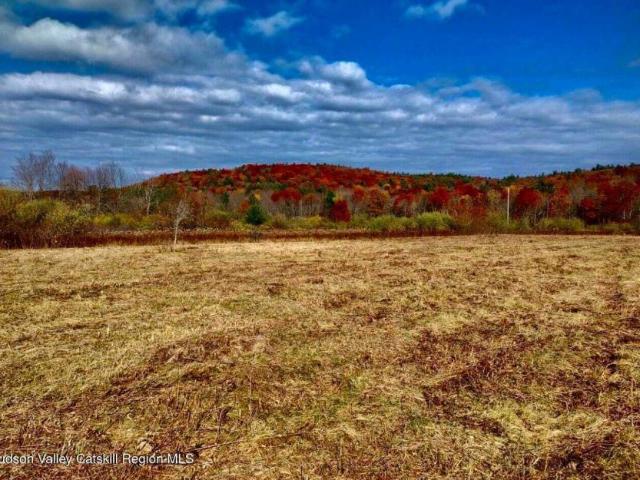 land NY NY DS102245568