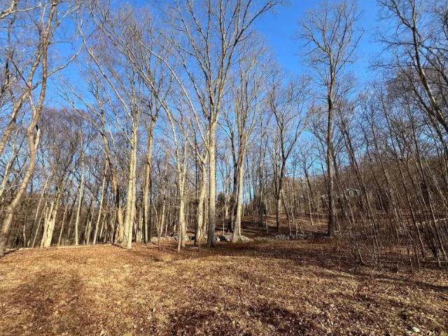 land NY NY DS102245656
