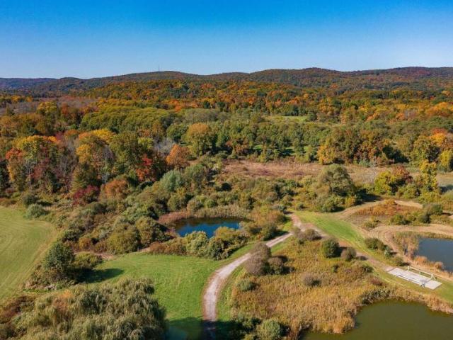 land NY NY DS102243934