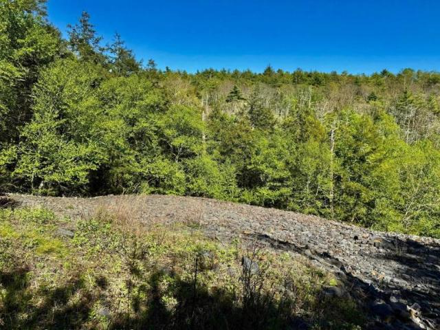 land NY NY DS102587674
