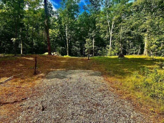 land NY NY DS96164679