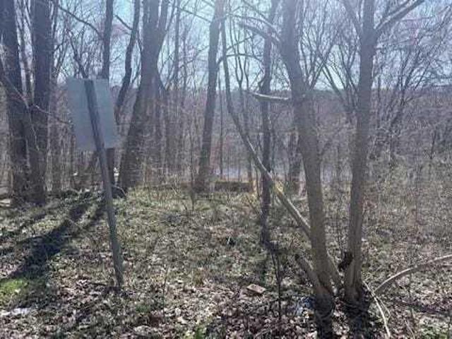 land NY NY ES101187697