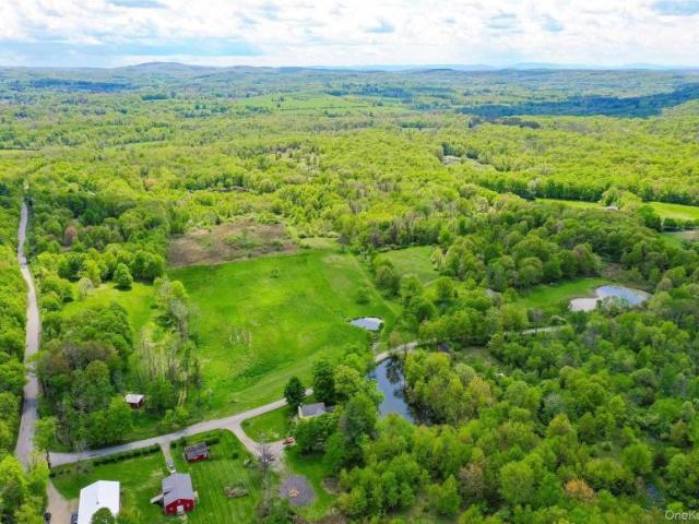 land NY NY ES102018884