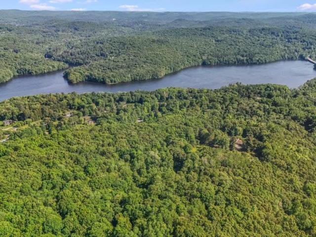 land NY NY ES102204404
