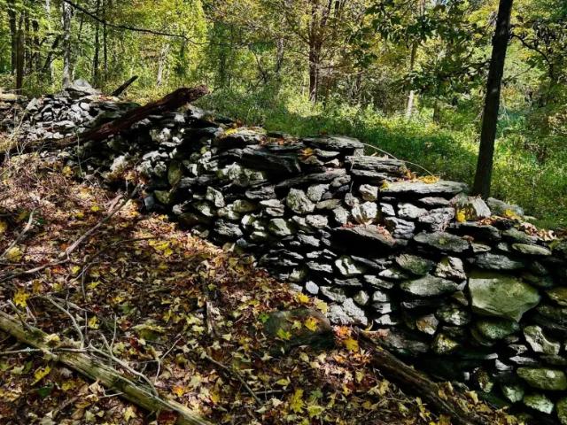 land NY NY ES102245615