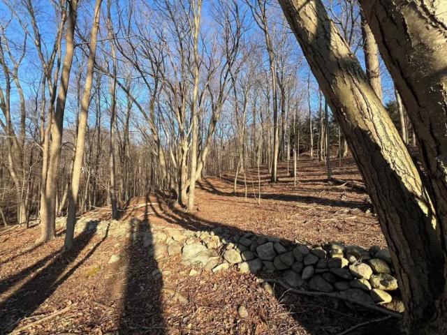 land NY NY ES102245656