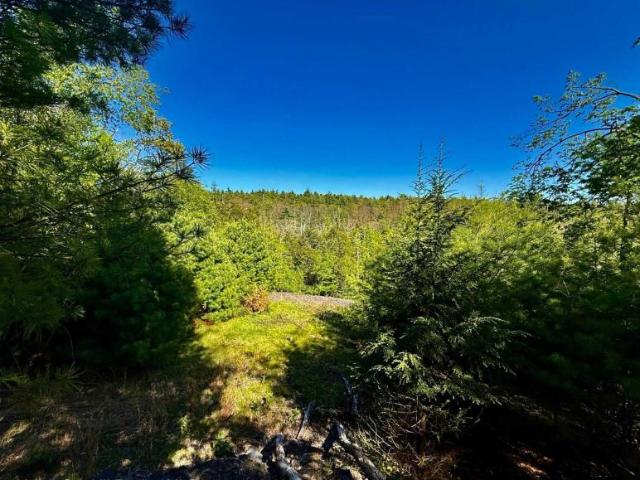 land NY NY ES102587674