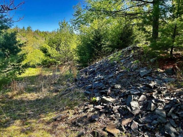 land NY NY ES102587672