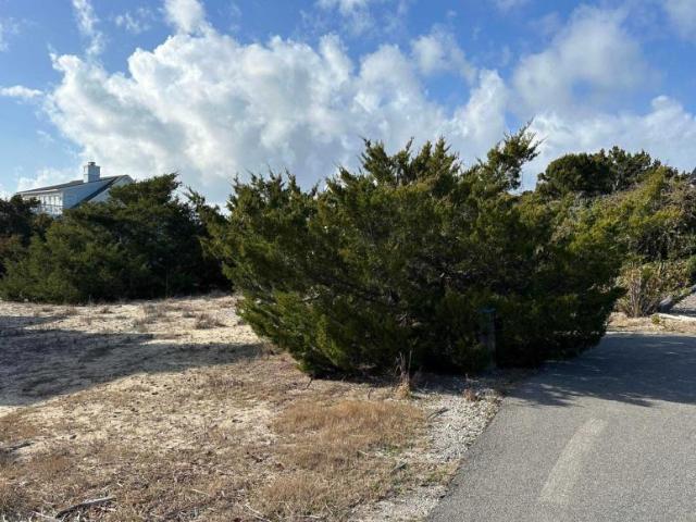 land NC NC DLS101368185