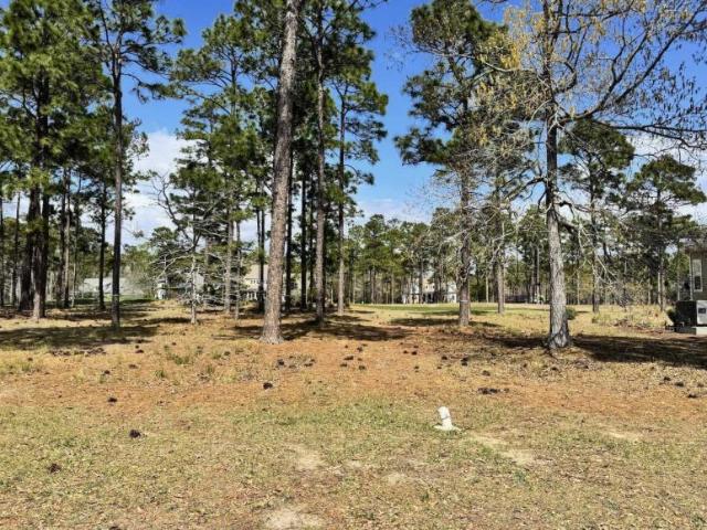 land NC NC DLS101368865