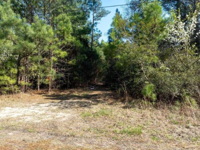 land NC NC DLS101882545