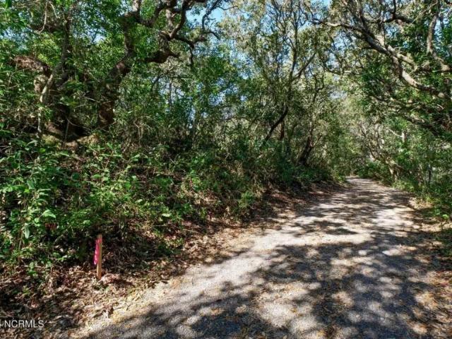 land NC NC DLS101986953
