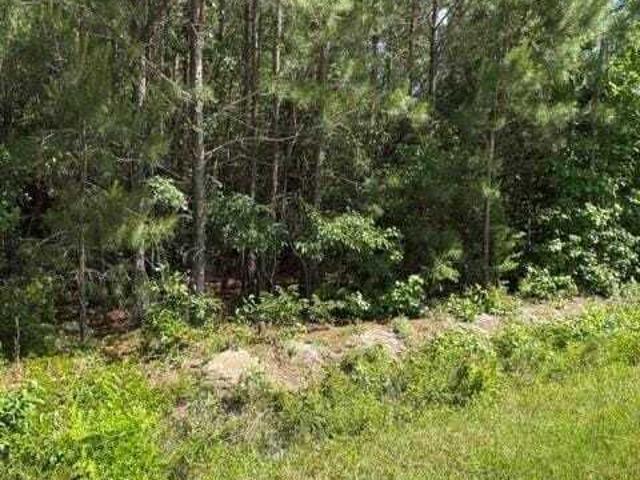 land NC NC DS102339367