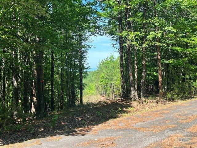 land Nebo NC DLS91678538