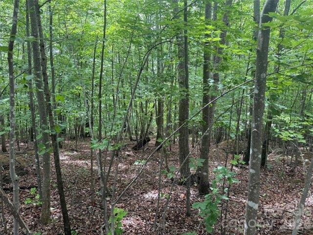land Nebo NC ES104901254