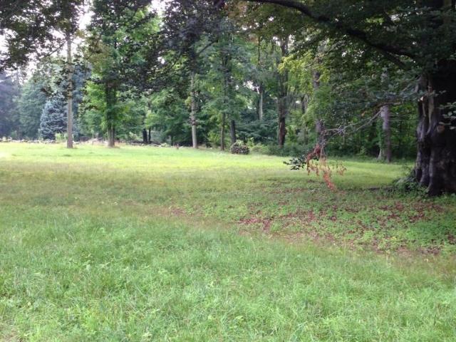 land New Canaan CT DS101883001