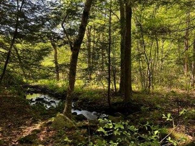 land New Hartford CT DS102826704