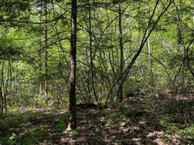 land New Hartford CT ES103968580