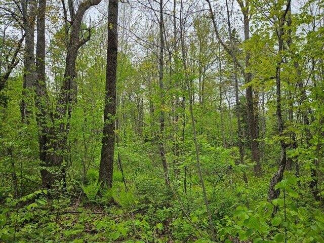 land New Sharon ME DS102475890