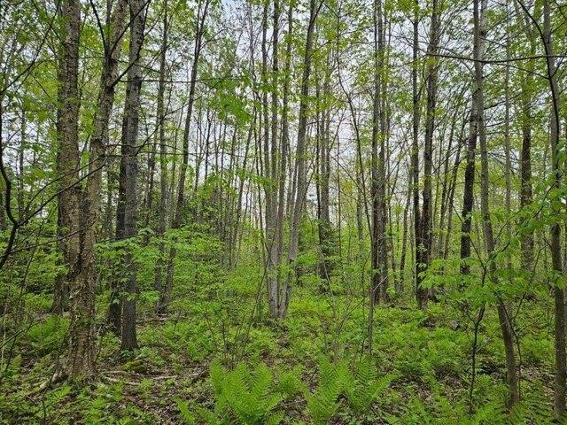 land New Sharon ME ES104570522