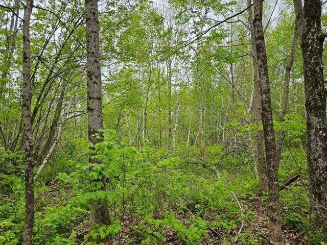 land New Sharon ME ES105114287