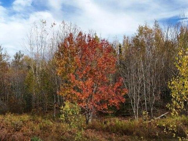 land Newburgh ME ES104008830