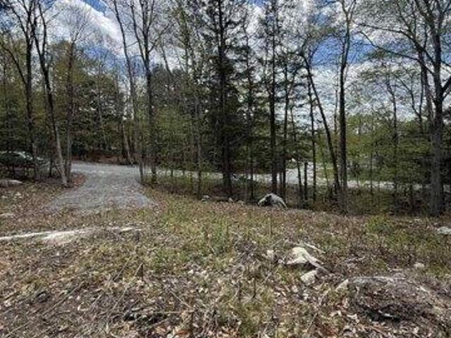 land Newbury NH DLS102409617