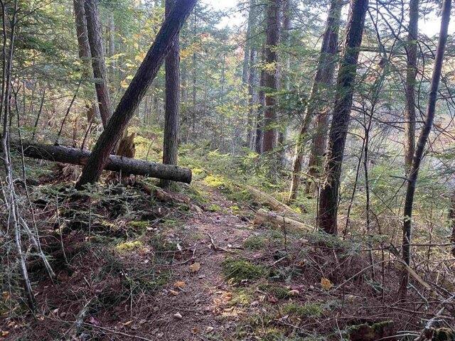 land Newbury VT DLS102280387