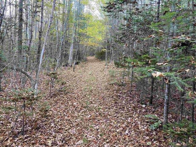 land Newbury VT ES103186104