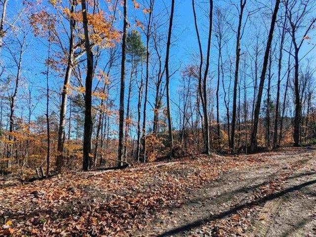 land Newfane VT DS102478418