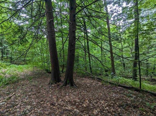 land Newfane VT ES104010723