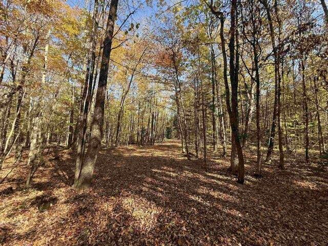 land Newport VT DLS102798610