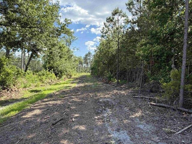 land Nichols SC DS103587788