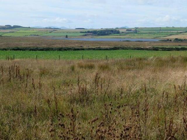Land Nipster Road Nipster Road 101678219
