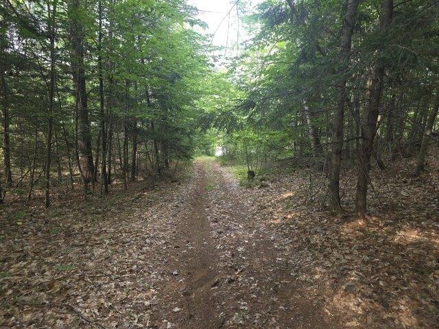land Norridgewock ME ES104481488