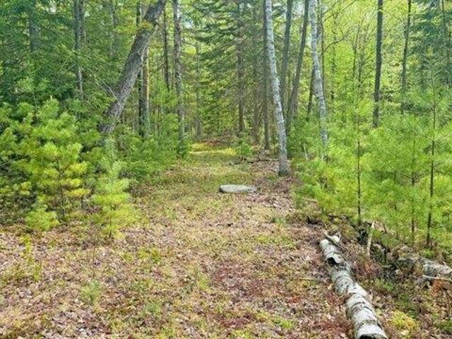 land North Creek NY ES103622336