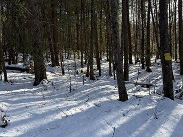 land Northfield MA DS103187326