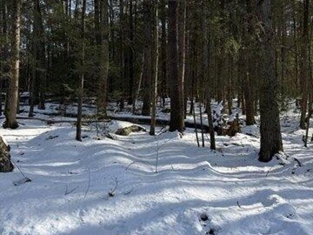 land Northfield MA ES103432219