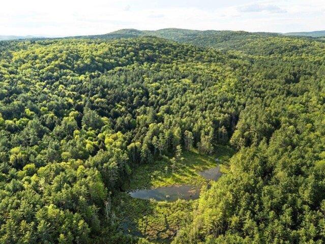 land Norwich VT DS102257867
