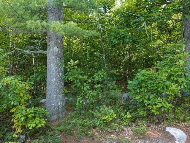 land Otisfield ME ES105160262