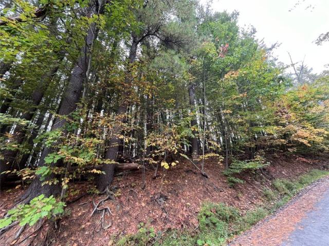 land Owego NY ES101252182
