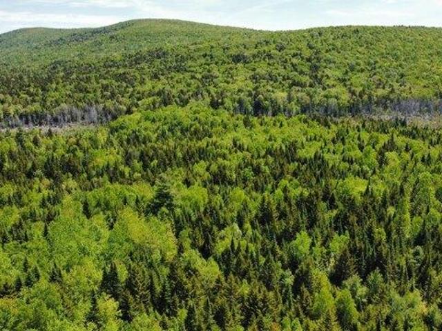land Oakfield ME DS103968782