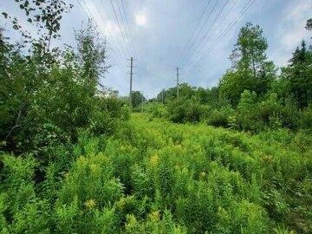 land Oakfield ME DS103970235