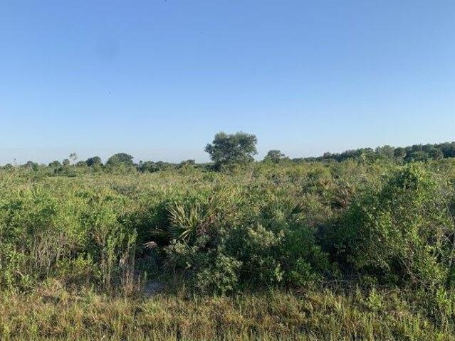 land Okeechobee FL DLS92709618